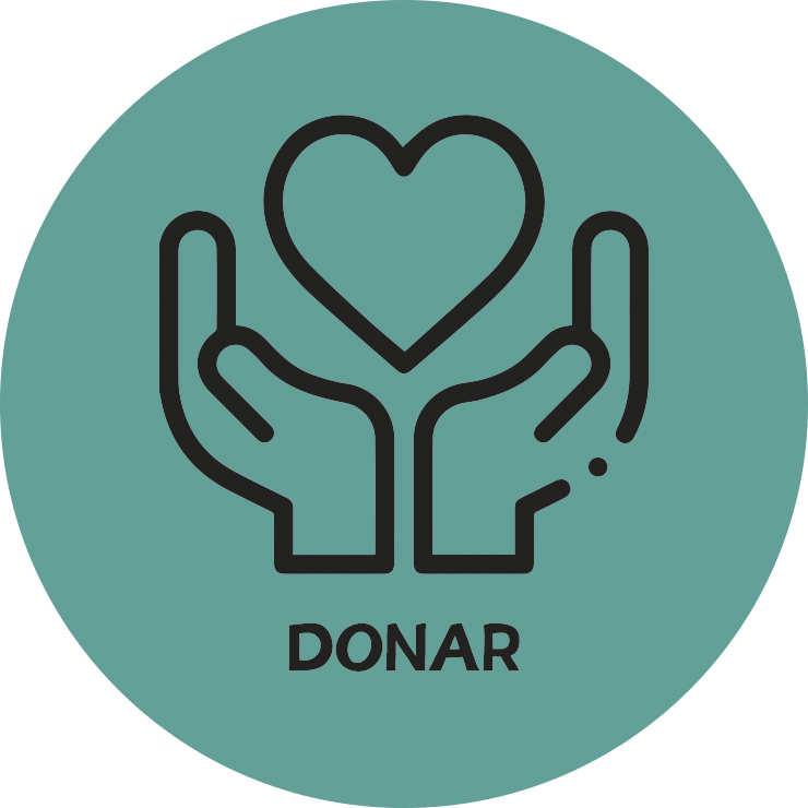 Karumbé | Centro de Tortugas marinas