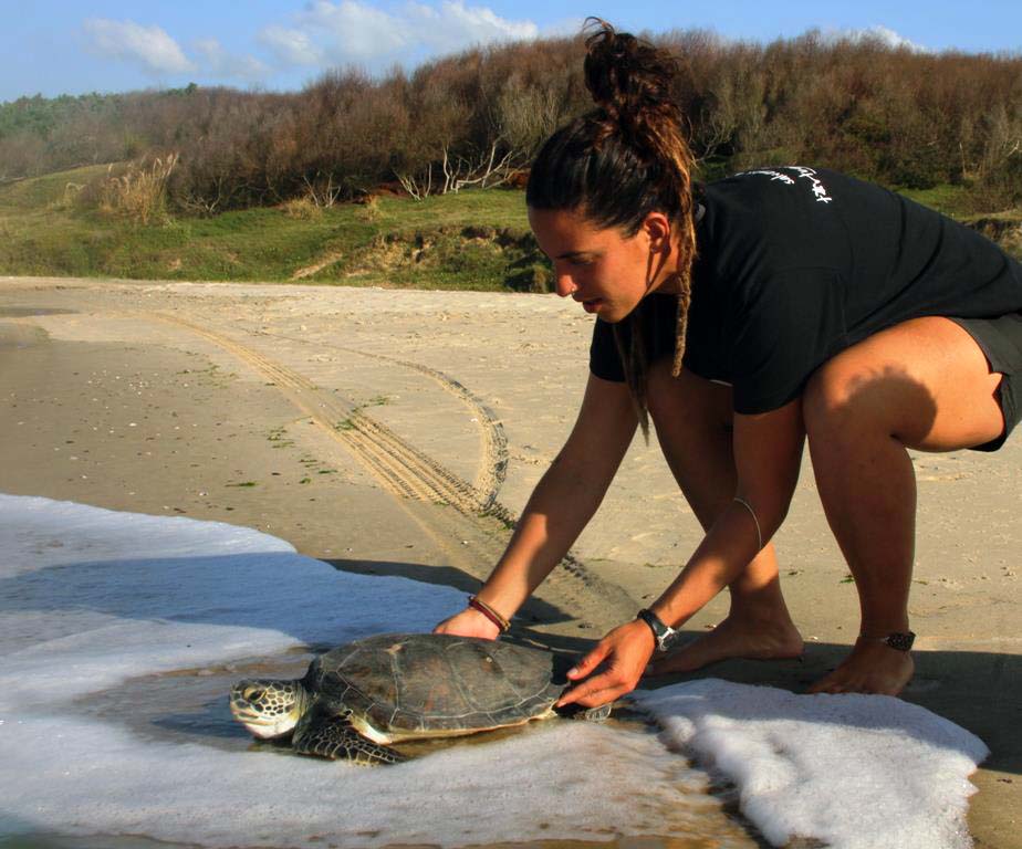 Karumbé | Centro de Tortugas marinas